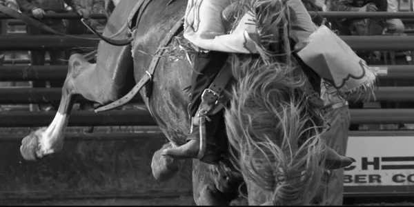 Killdeer Saddle Club Officers