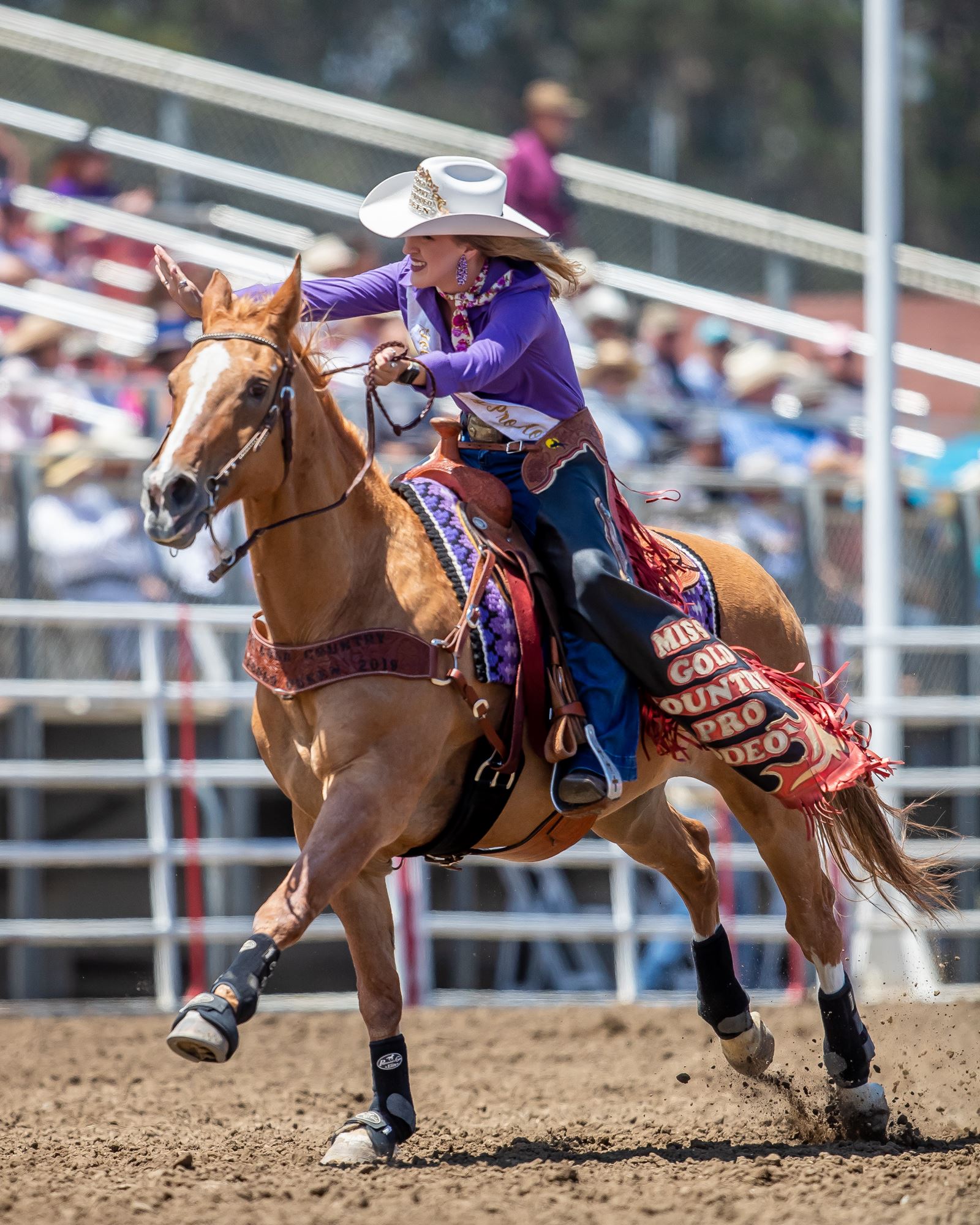 Visiting Queen Information