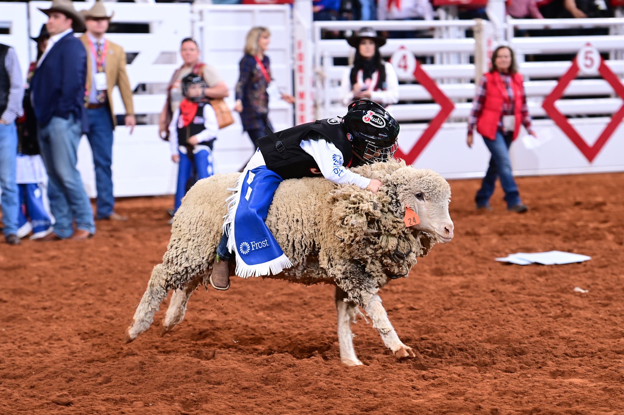 mutton bustin