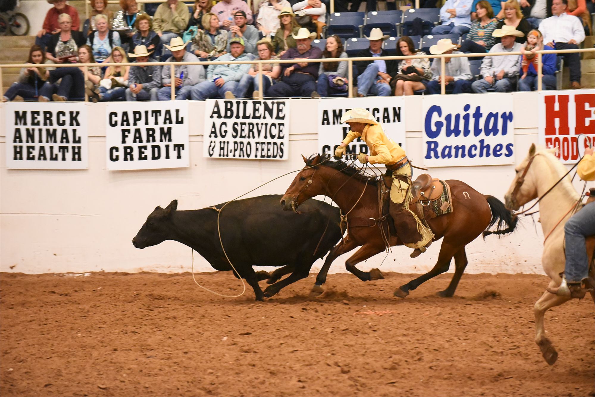 Matthews/Nail Ranches