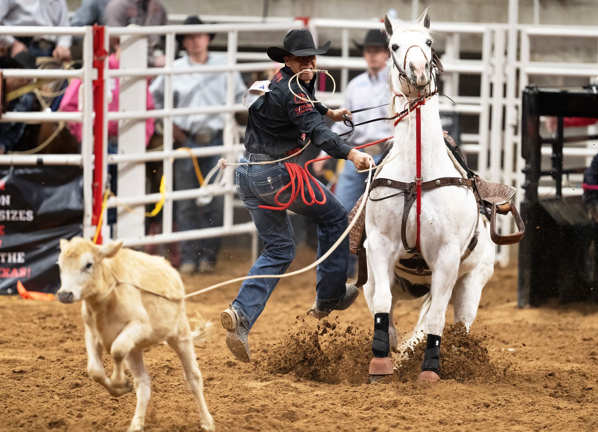 Rodeo Results