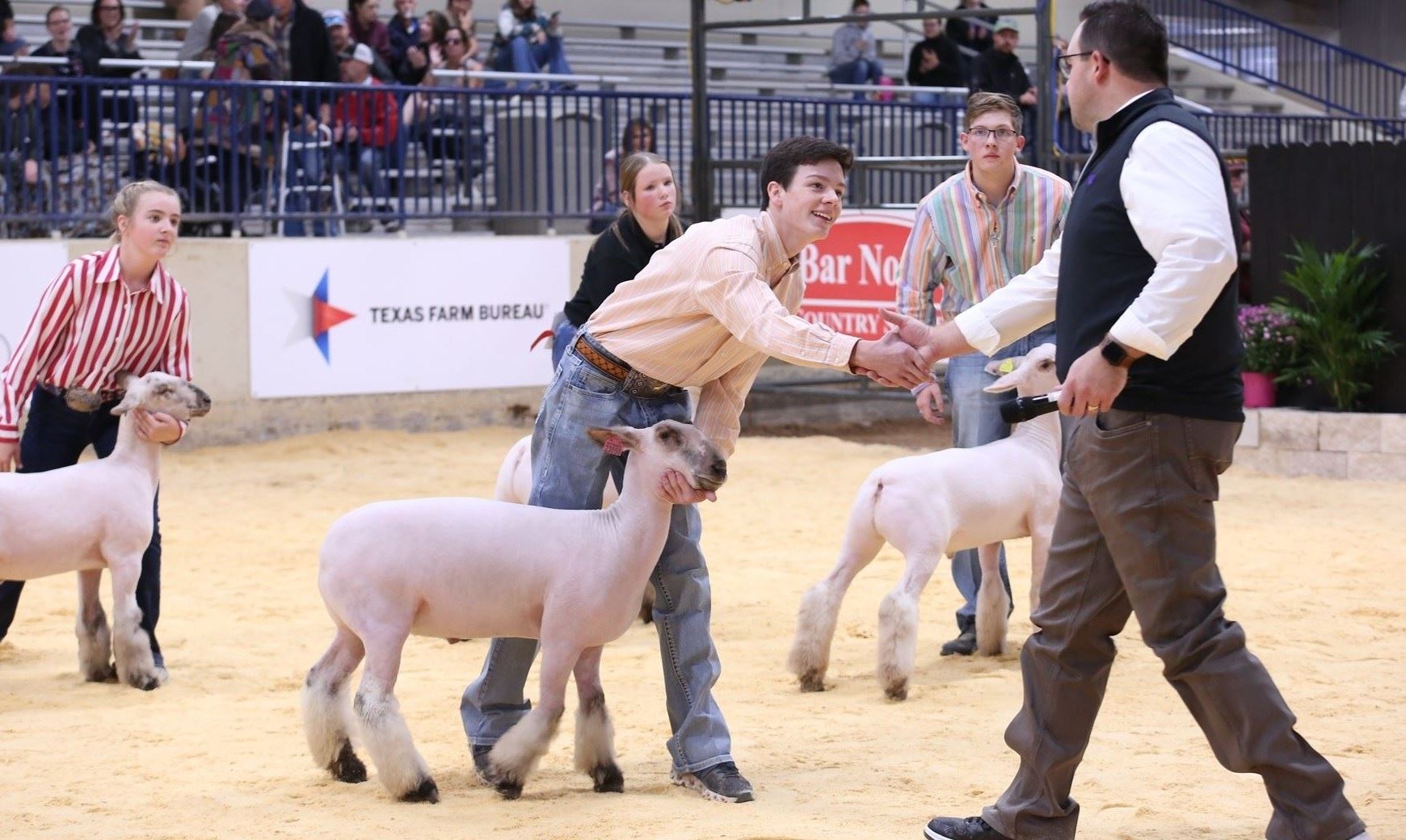 Livestock Show & Contests