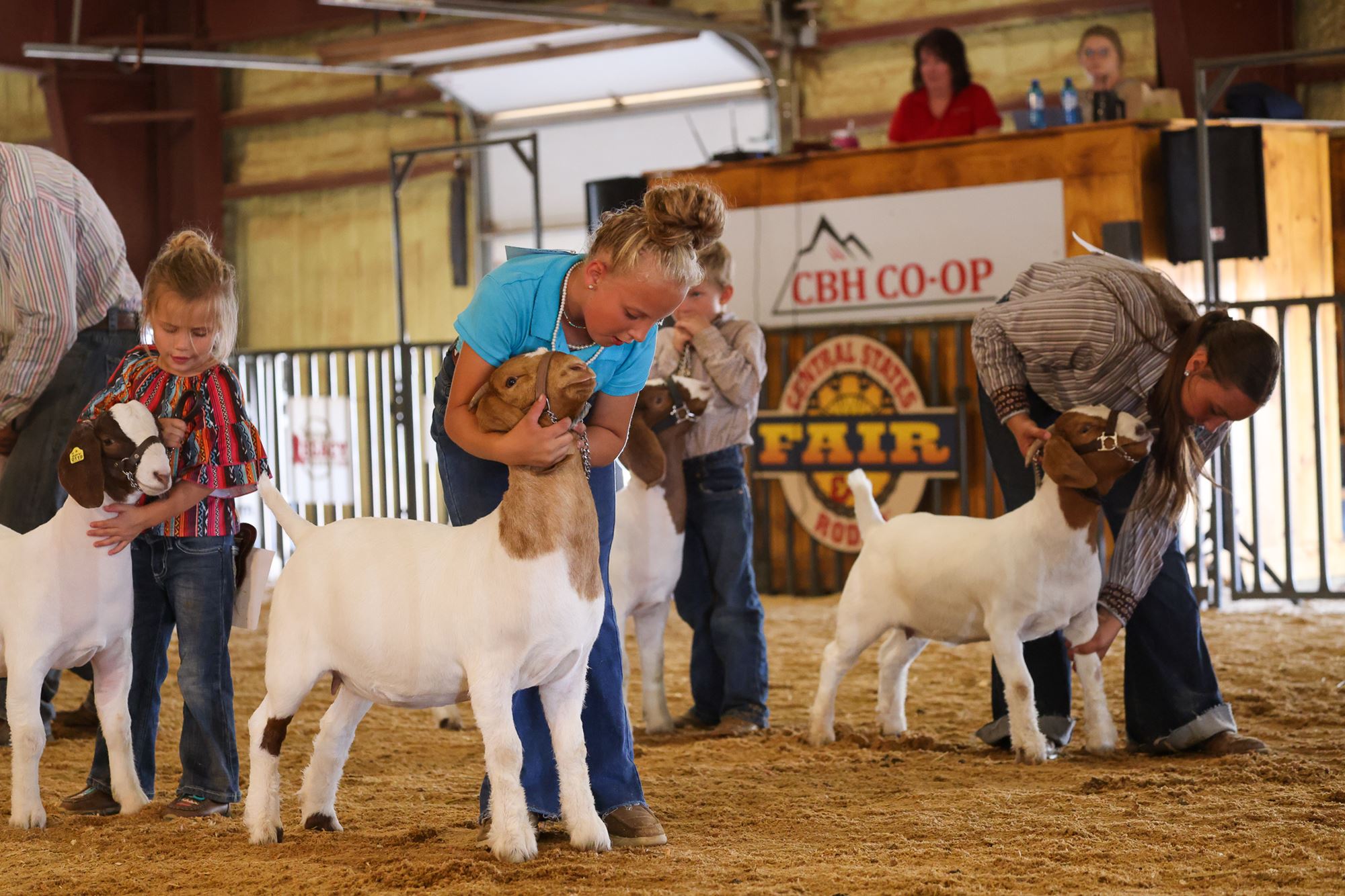 Youth Livestock Shows