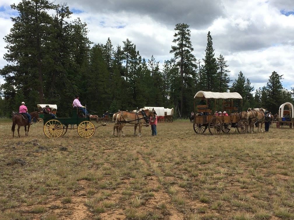 Wagon Train