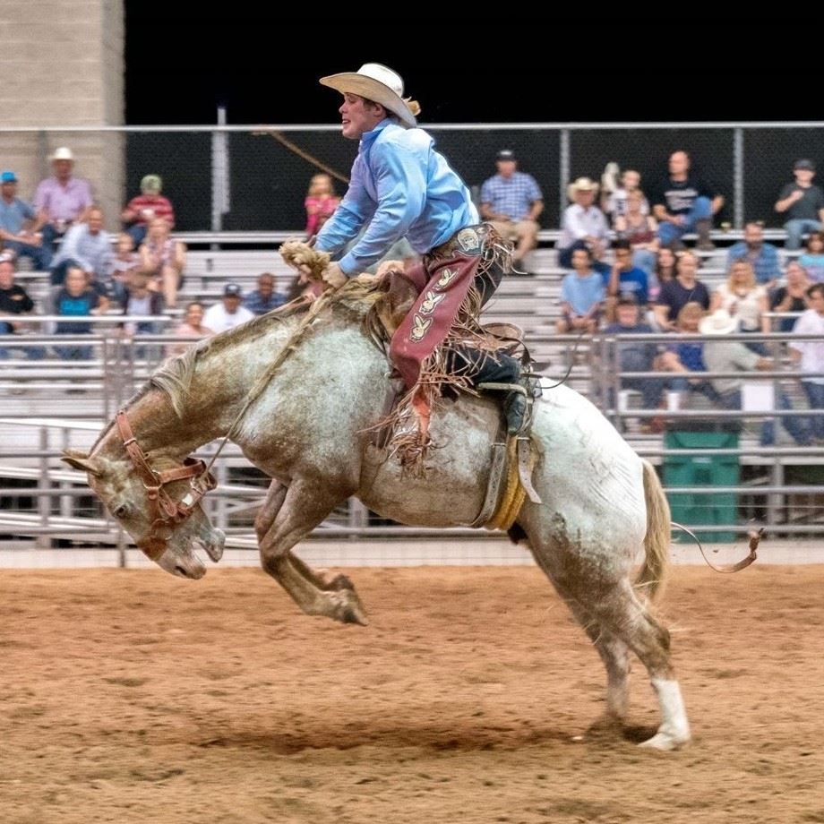 The Williamson County Fair and Rodeo offers attractions for everyone