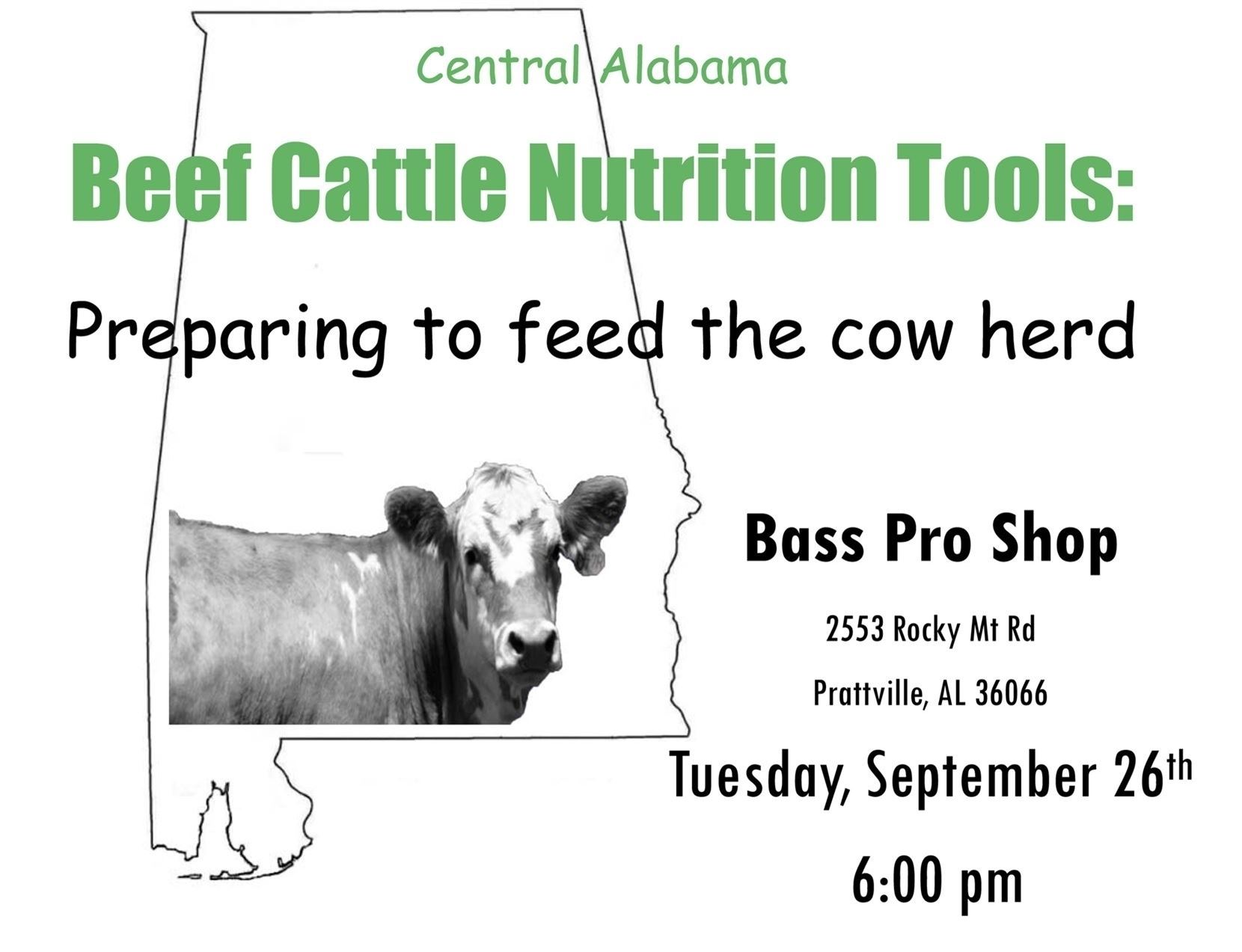 Alabama Beef Cattle Facts