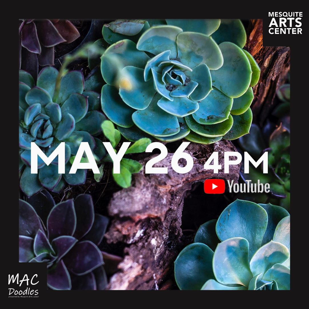 MAC Doodles: Succulents