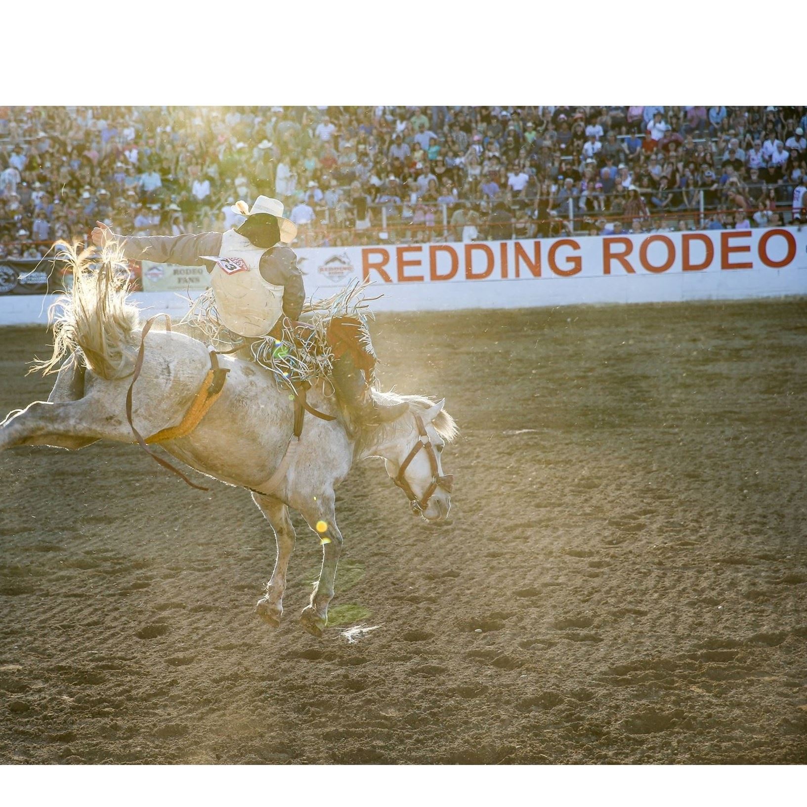 Rodeo Personnel