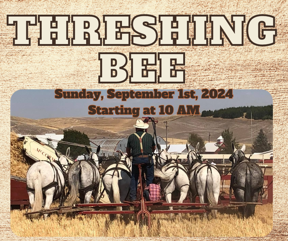 Threshing Bee