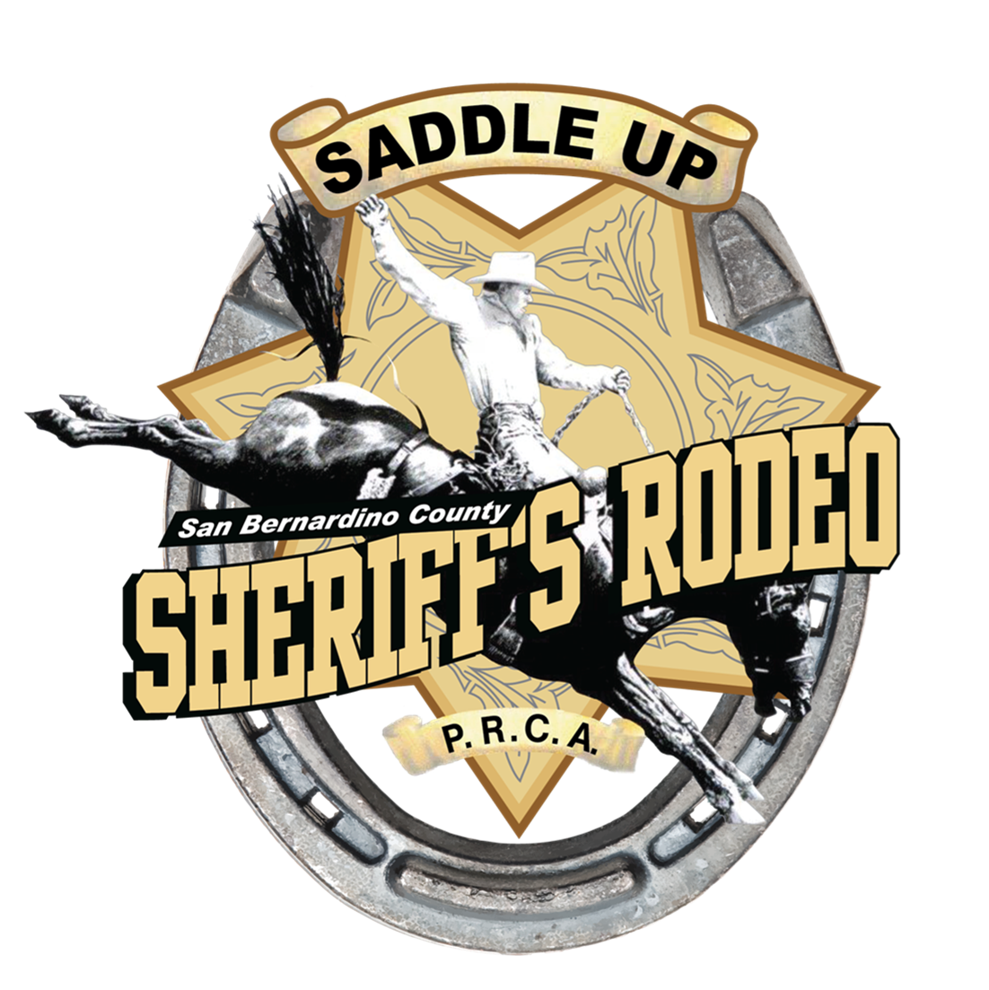 Privacy, Terms & Cookies