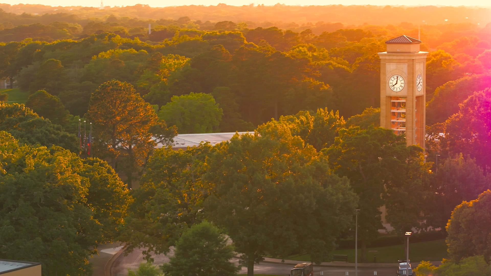 The University of Texas at Tyler