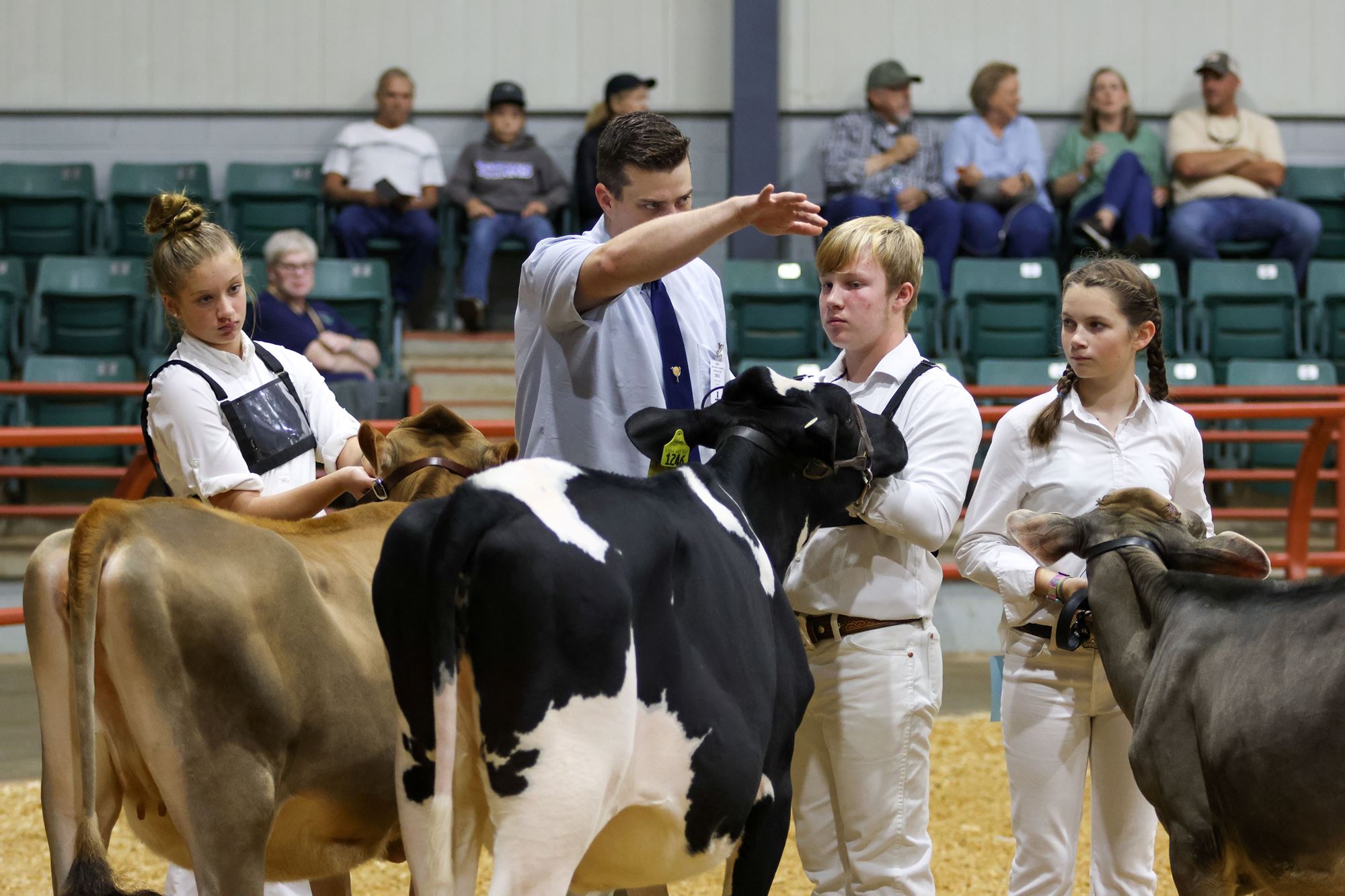 Livestock Competitions