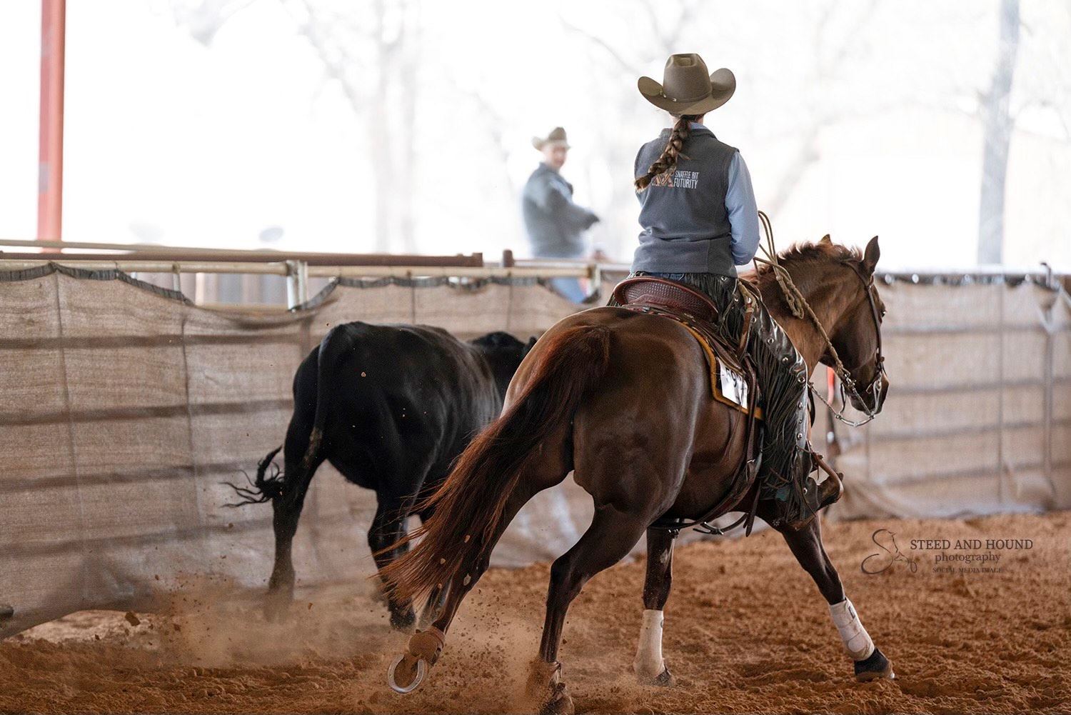 AQHA 'Horse of the Year'