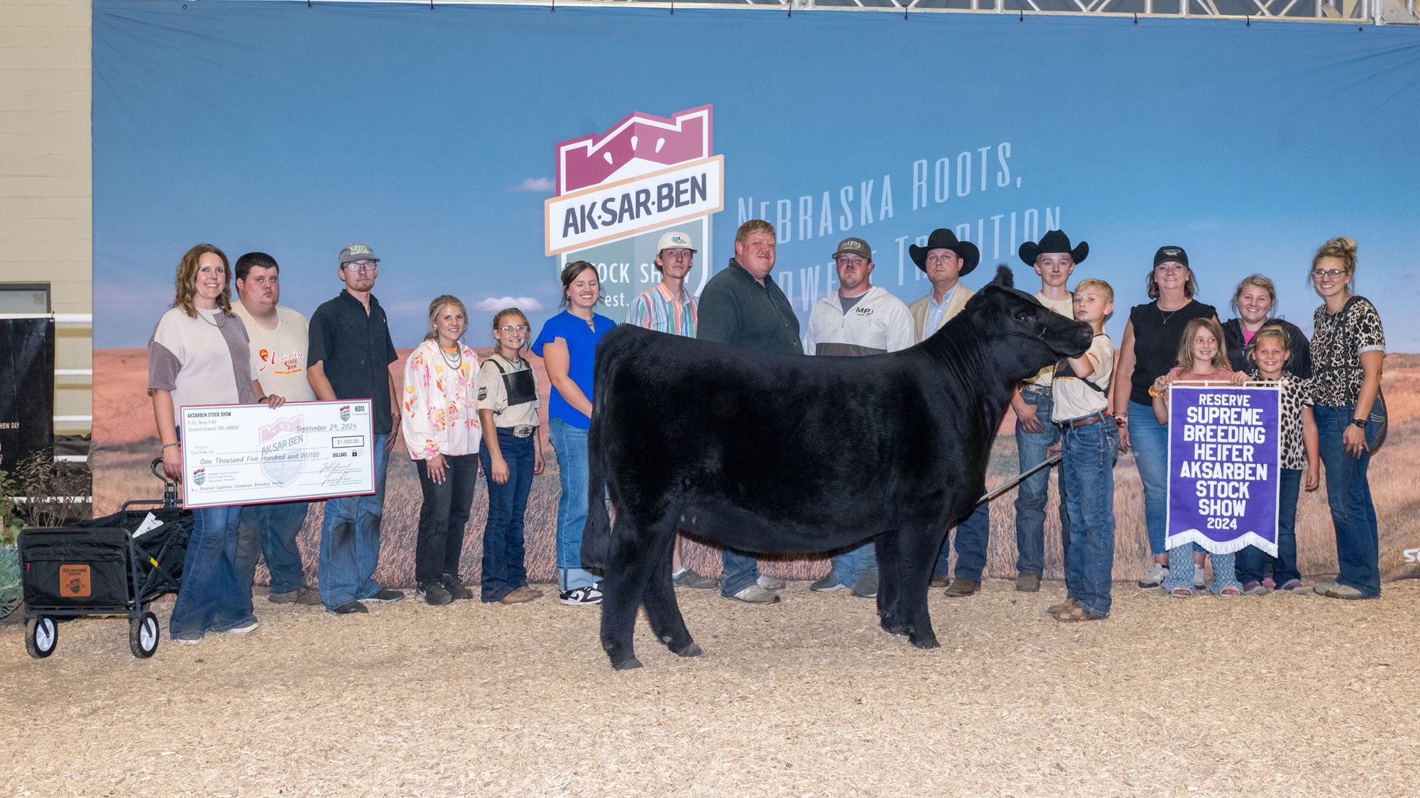 Results and Programs