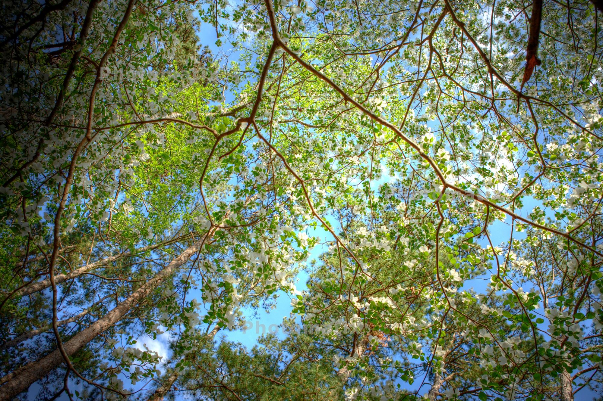 Nature Center - Texas Parks & Wildlife