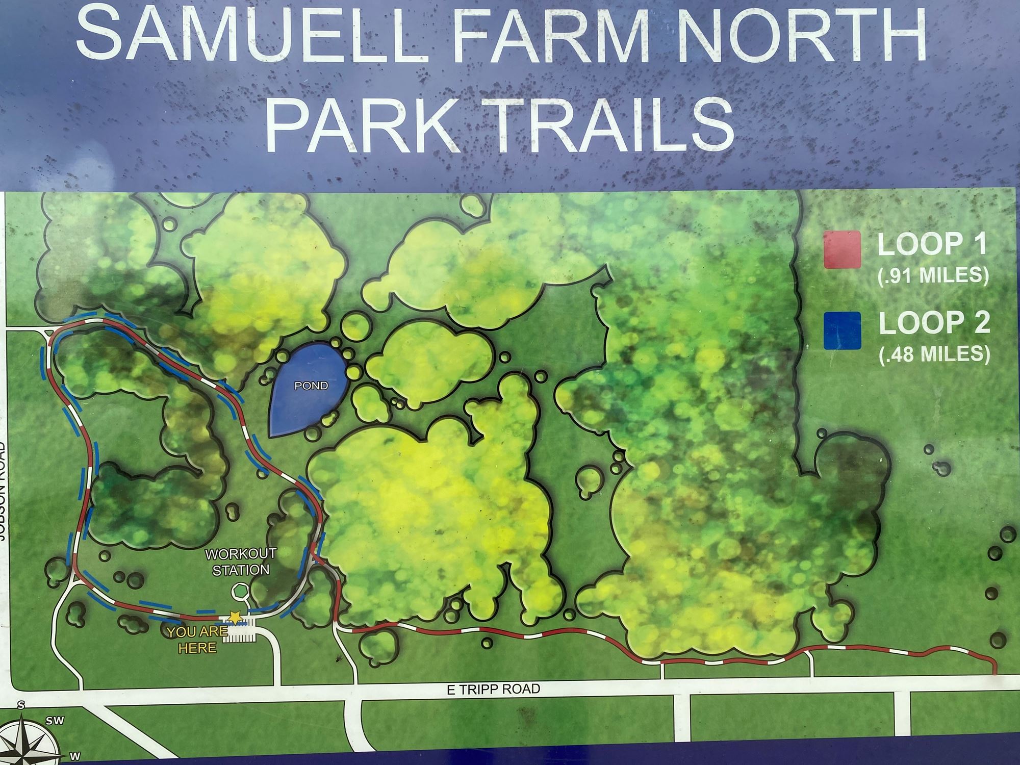 See Texas Bluebonnets at Samuell Farm