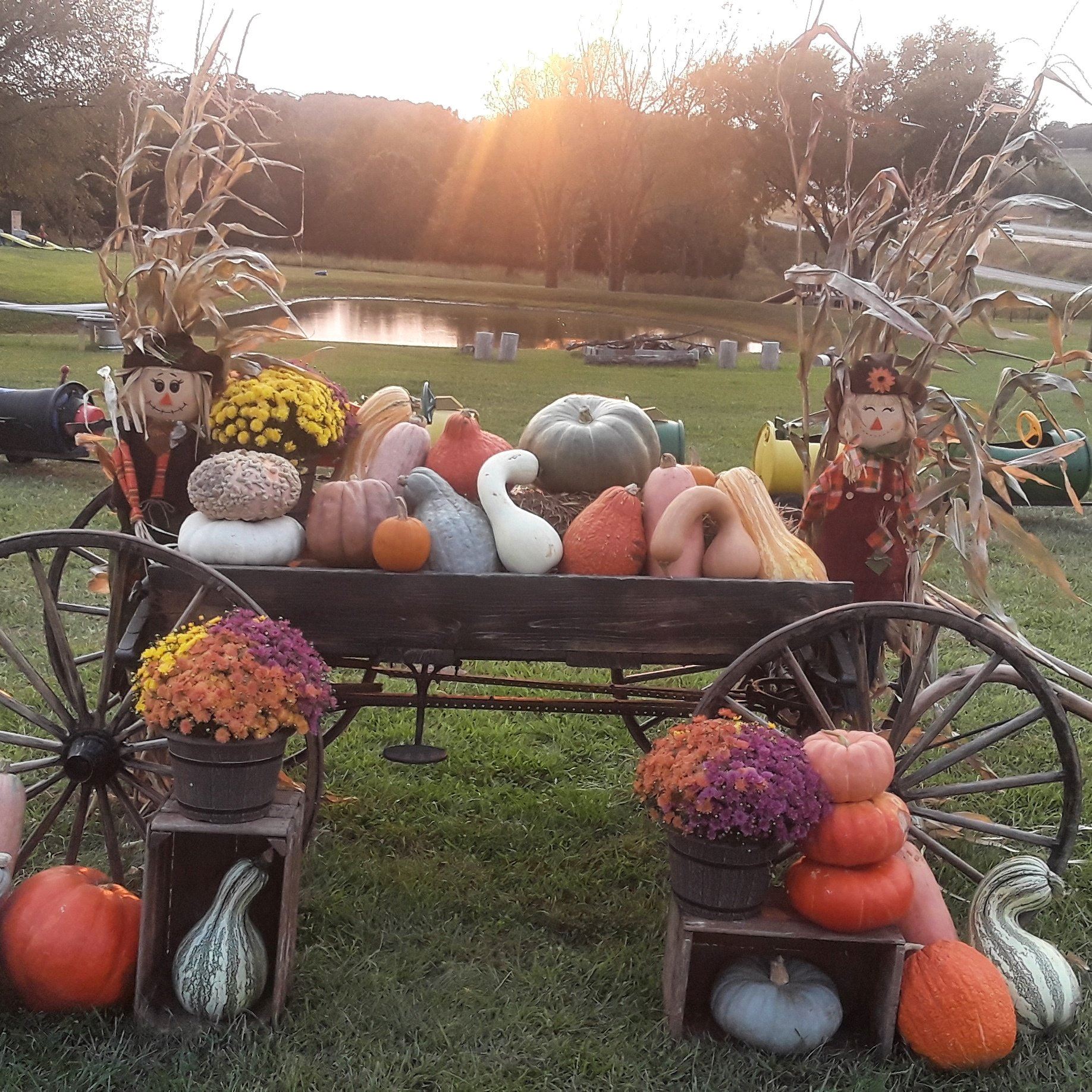 The Great Pumpkin Hunt at Still Waters Farm