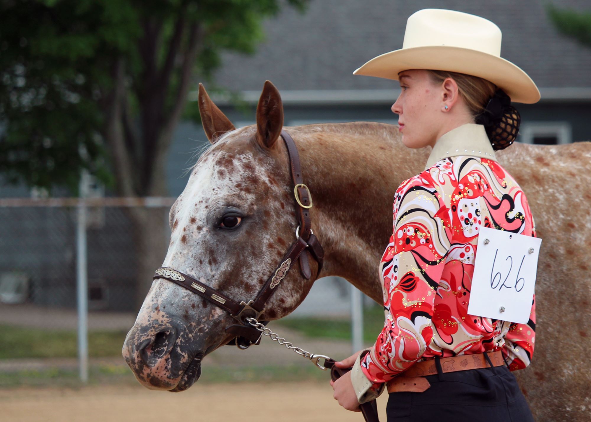 Junior Division Exhibits