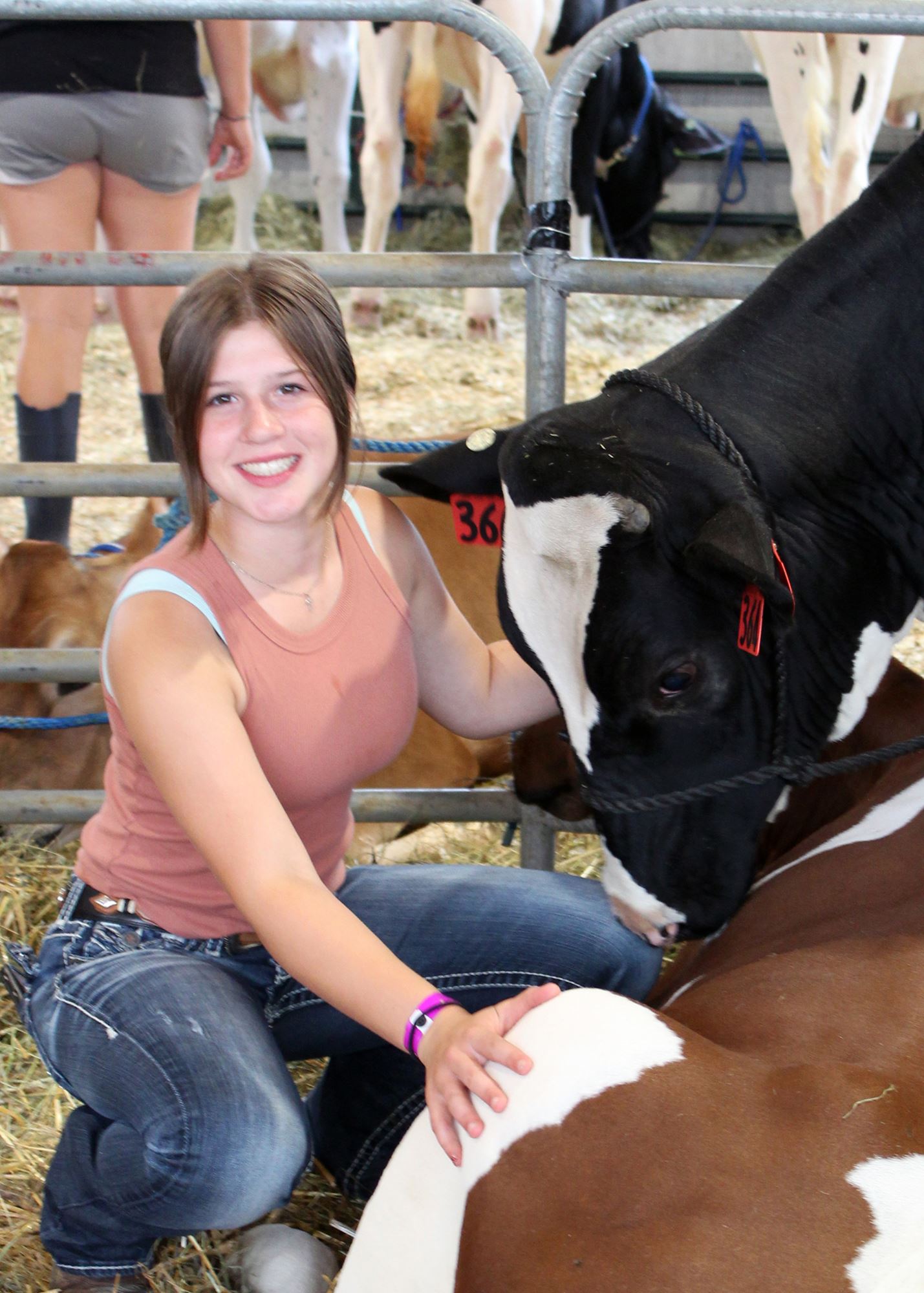 Junior Division Exhibits