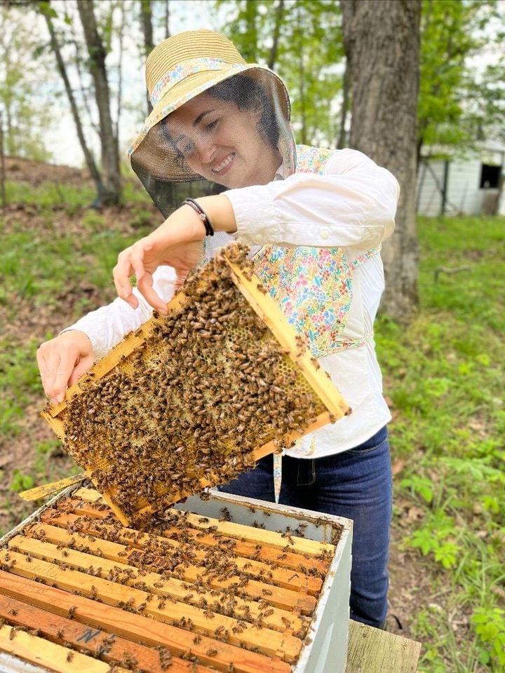 Honey Tasting and Uses Workshop: Sun & Bloom Farms