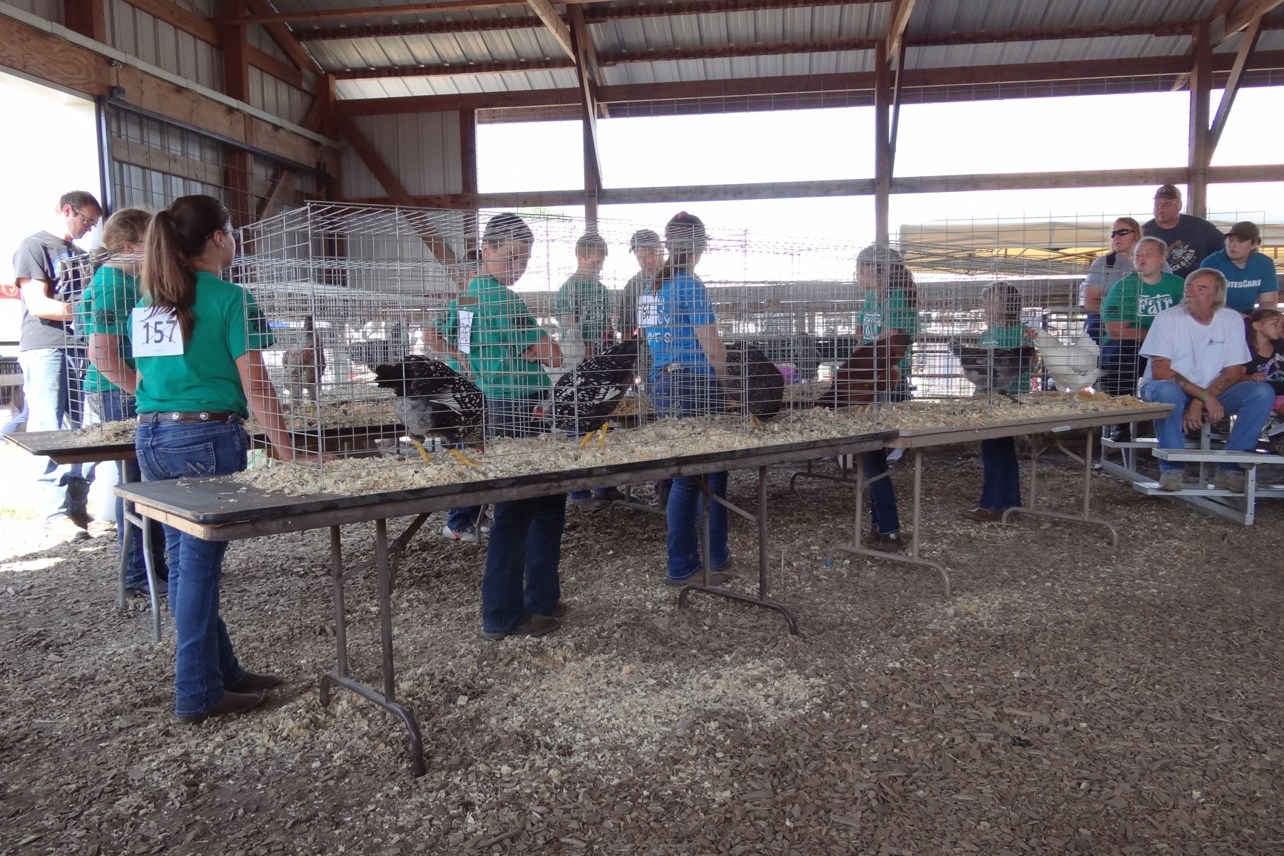 4-H and FFA Competitions