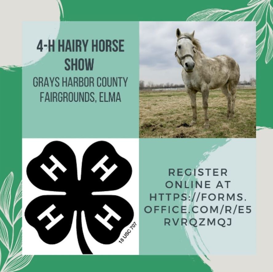 4H Hairy Horse Show