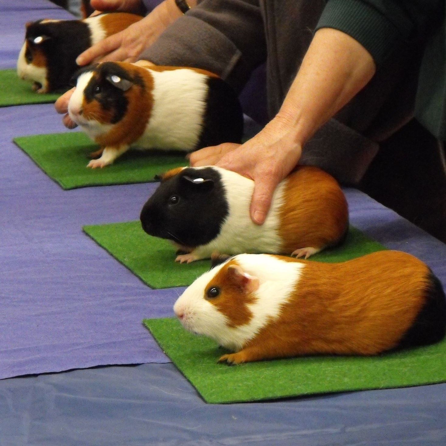 2021 Exhibitor Guidebook