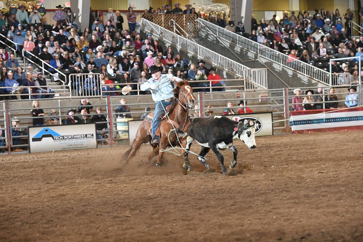 Equestrian and Livestock