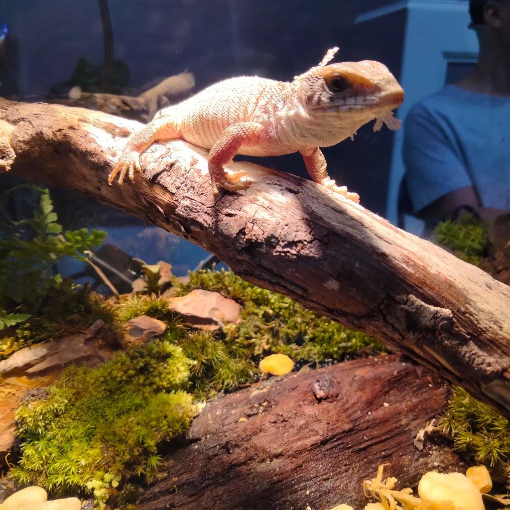 Repticon Animal Expo