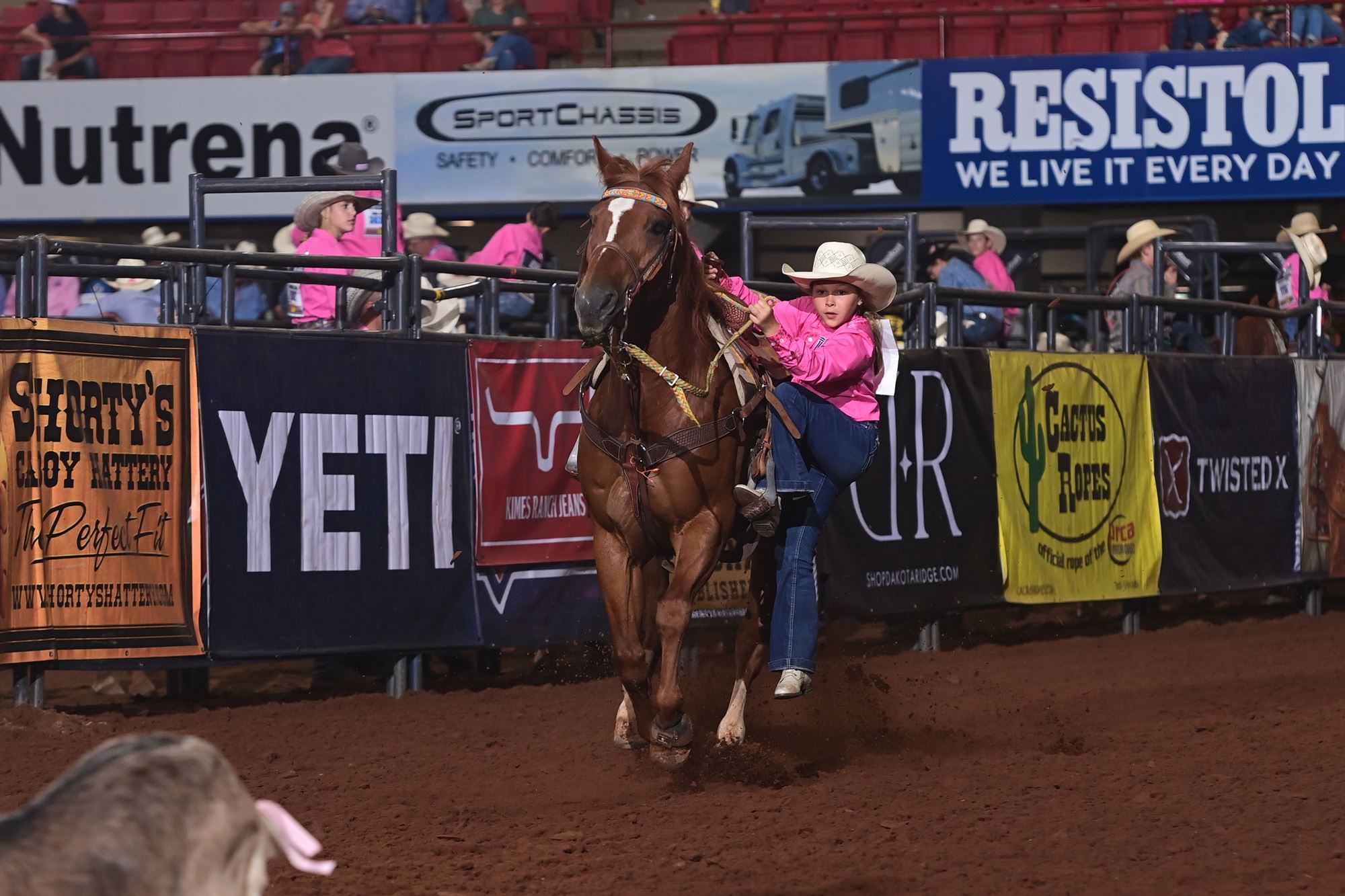 Resistol Rookie of the Year