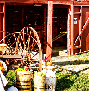 The Linn County Fair