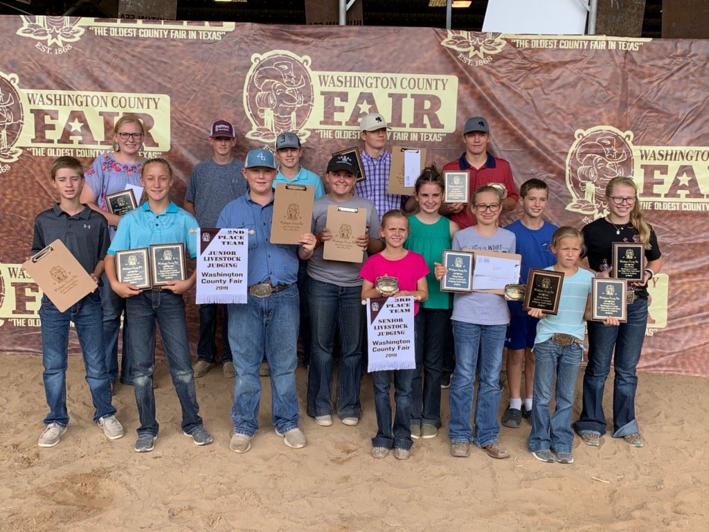 Livestock Judging Contest