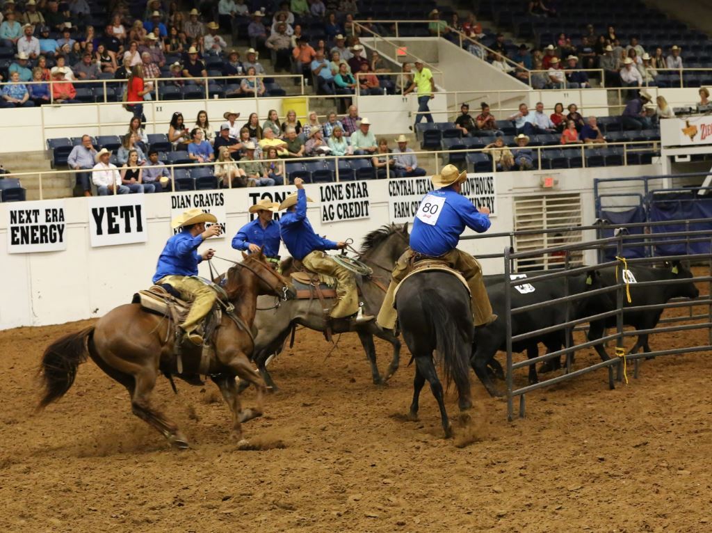 Ranch Rodeo
