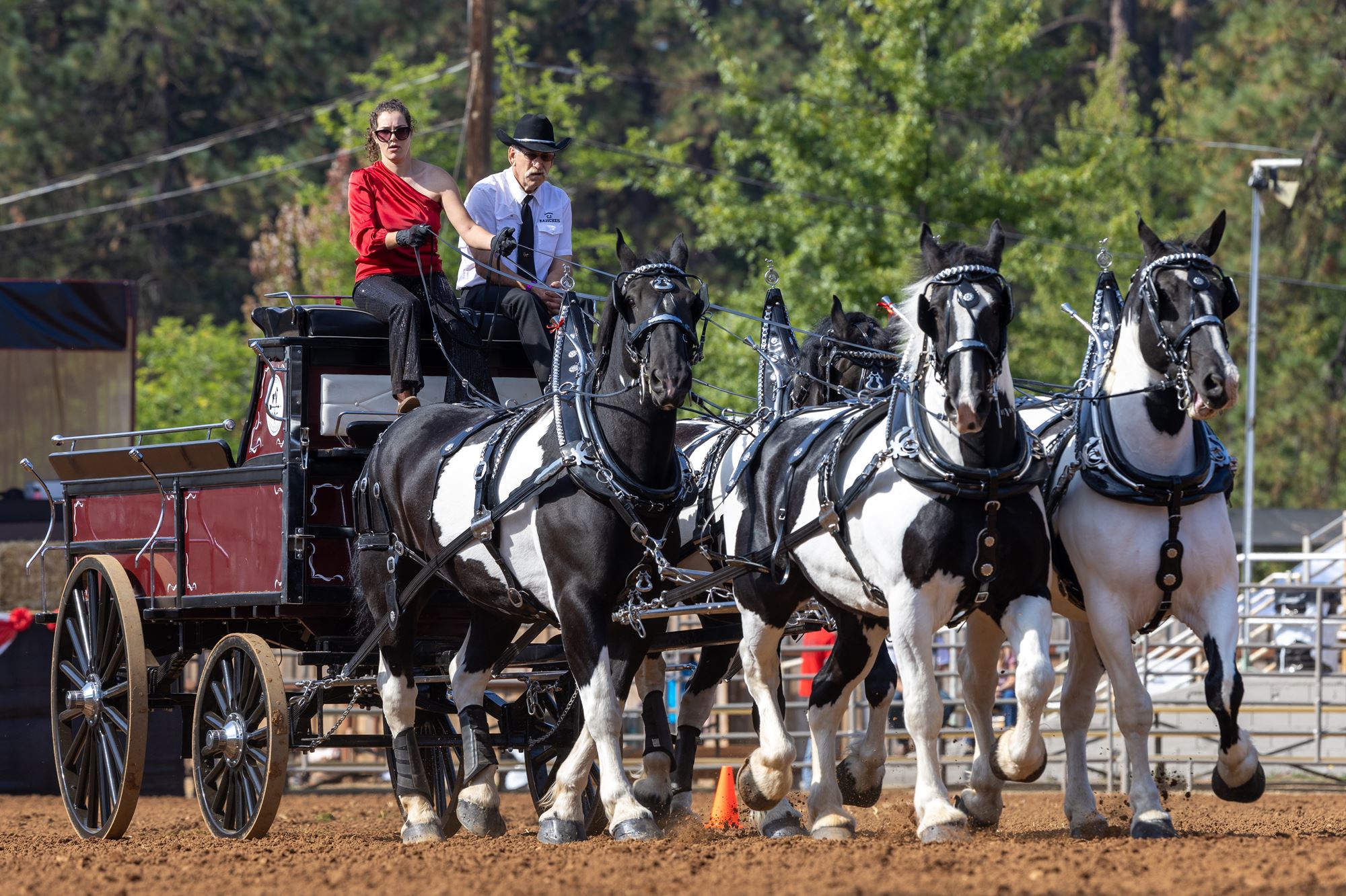 Nevada County Fairgrounds