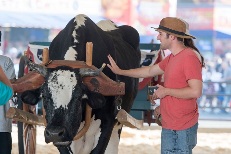 Centennial Farm’s 35th Celebration | Buena Park, CA