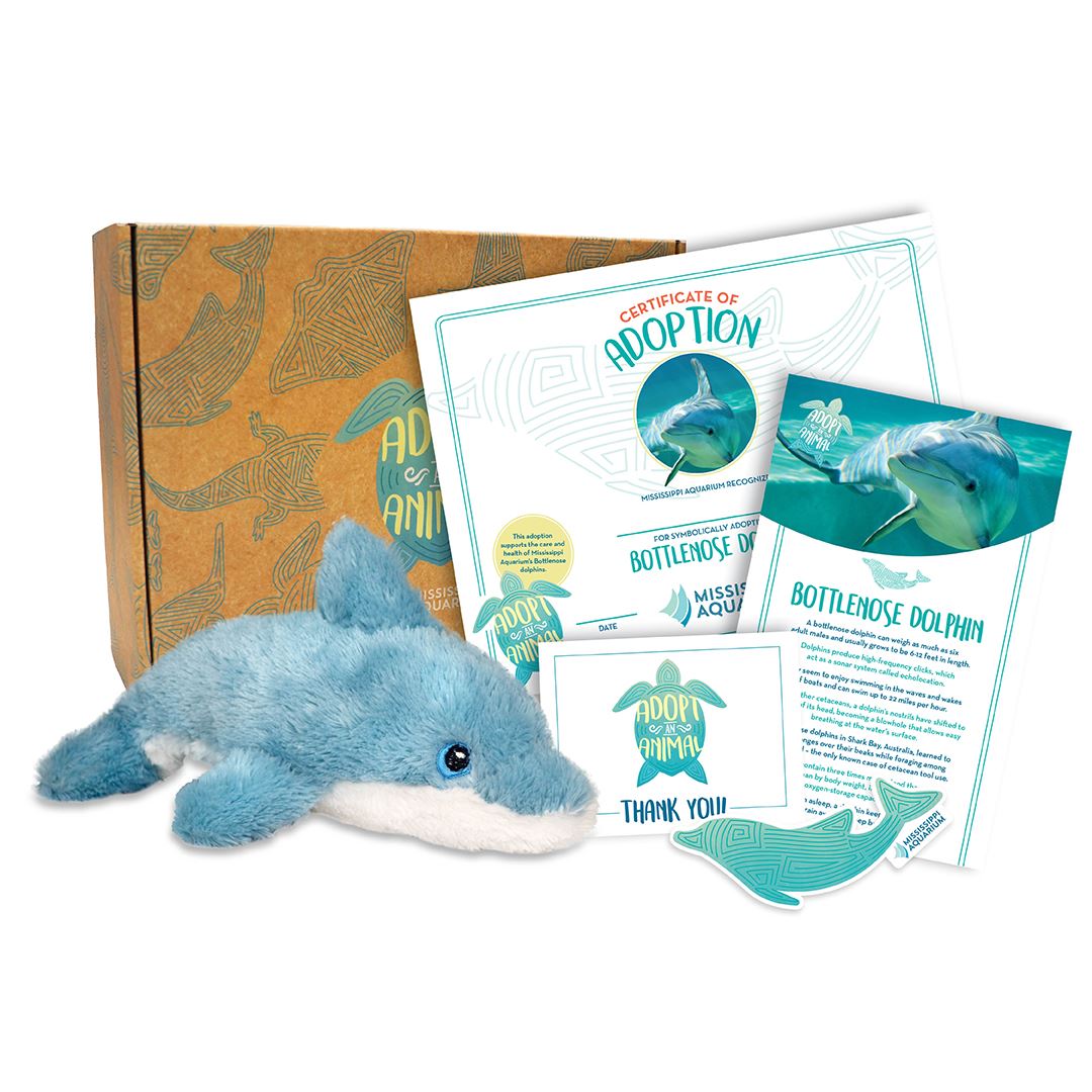 Atlantic Bottlenose Dolphins