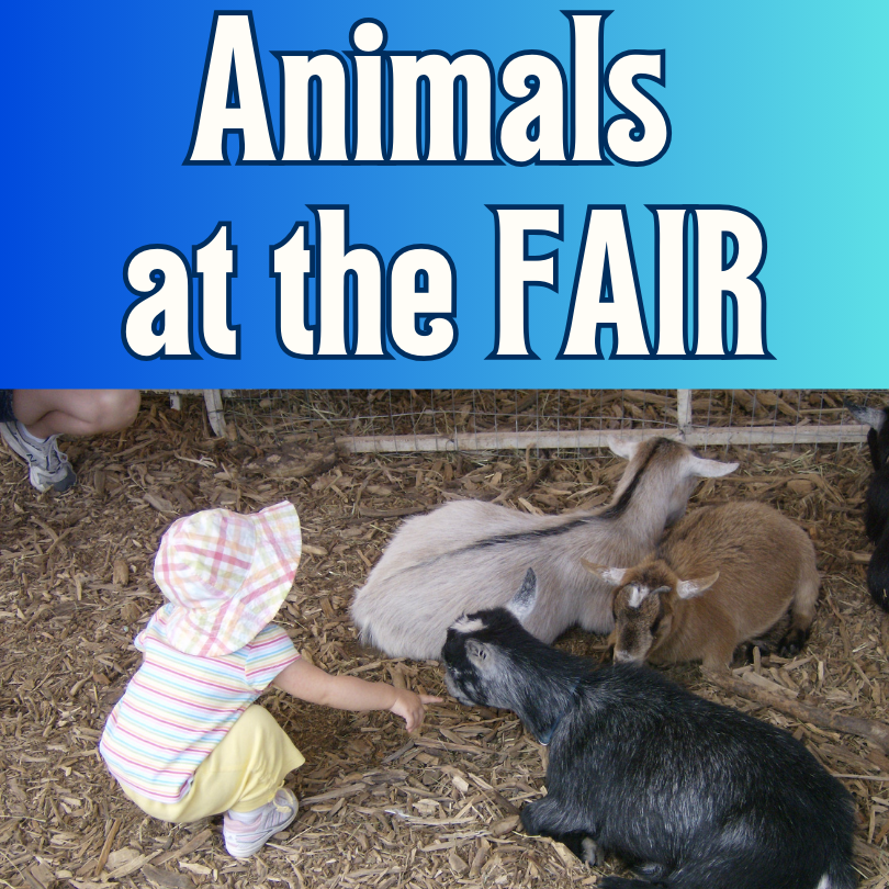 2026 El Paso County Fair