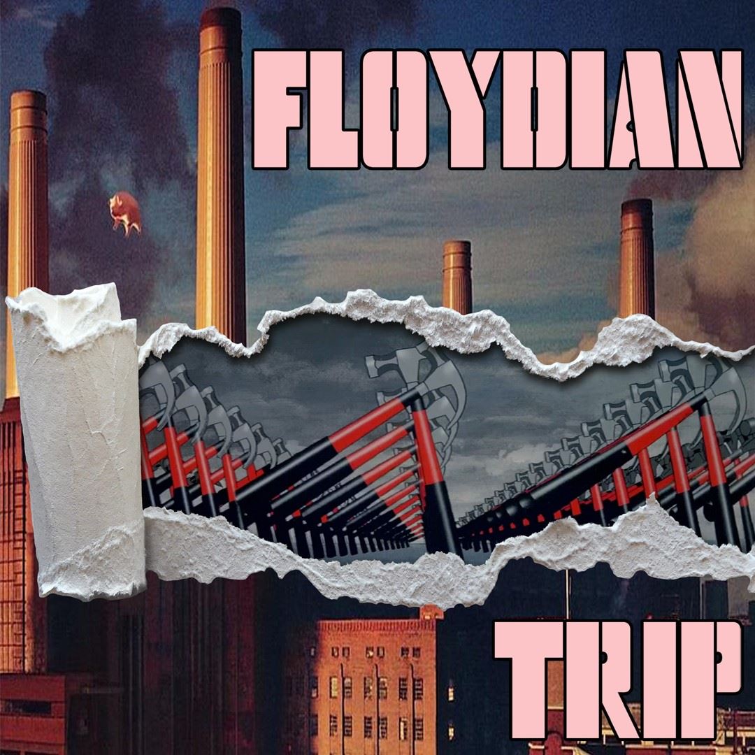 Floydian Trip