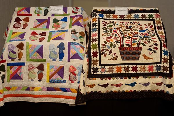 Quilt Contest