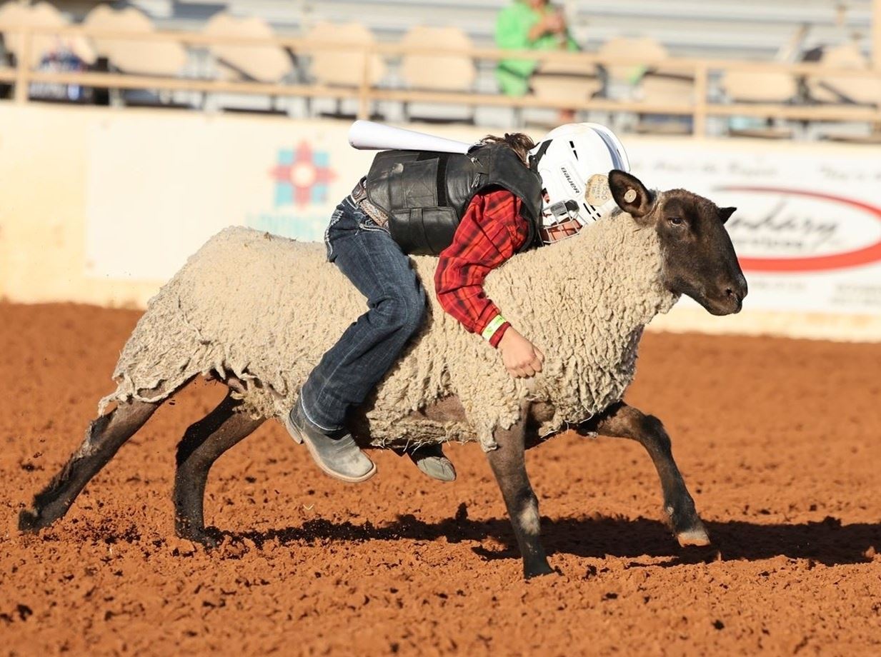 Mutton Bustin'