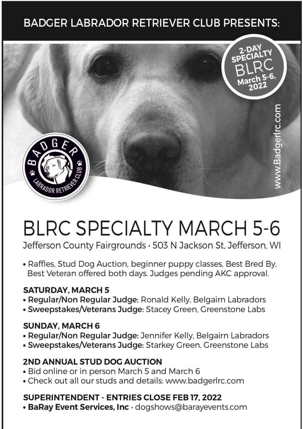 Where Is Greenstone Labradors Located