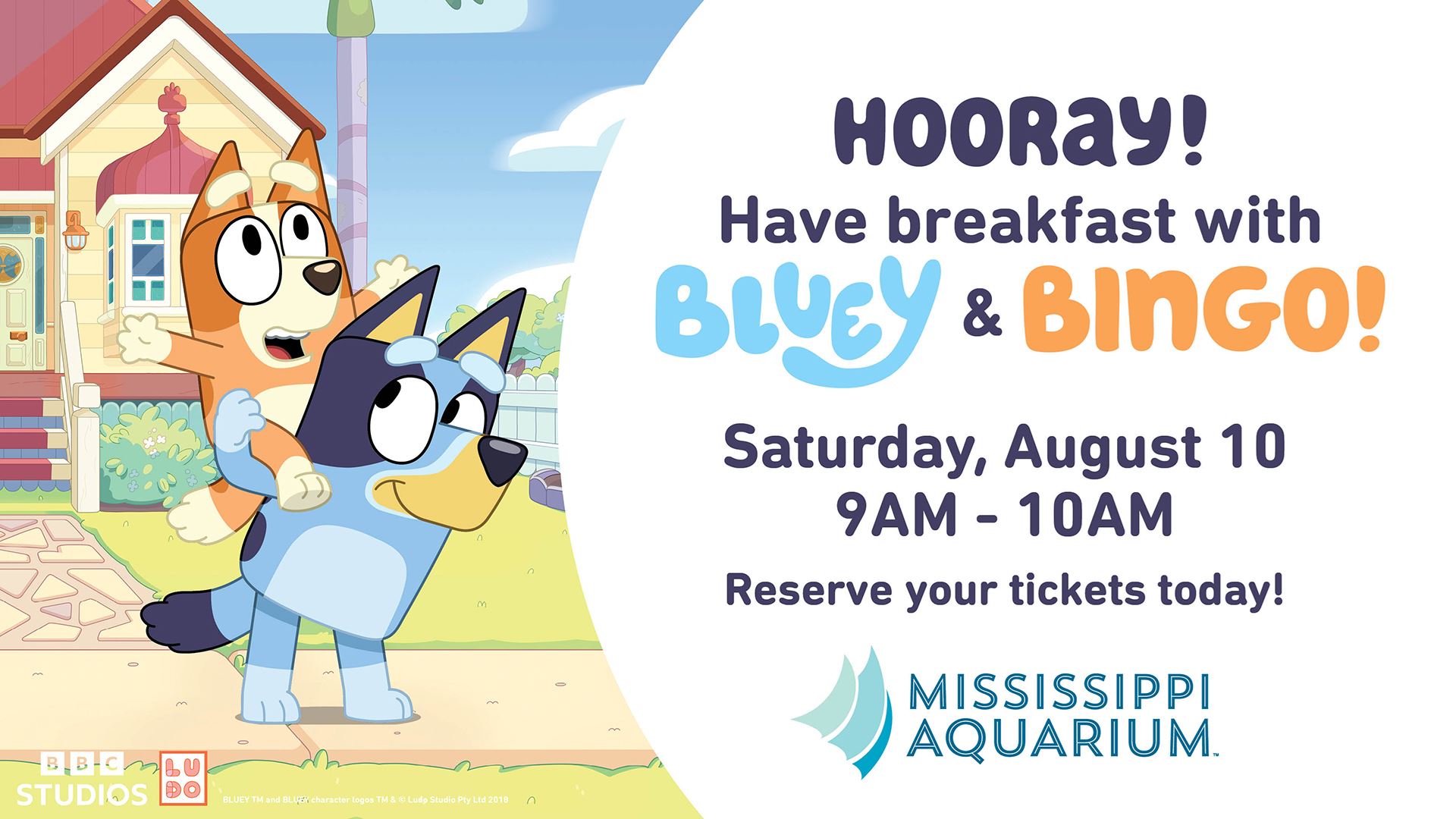 Bluey & Bingo🌑 Como se comunicam as formigas? Venha descobrir!