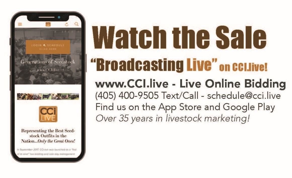 Horse Sale Information