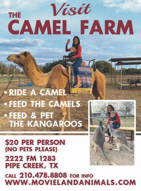THE CAMEL FARM - MOVIE LAND ANIMALS