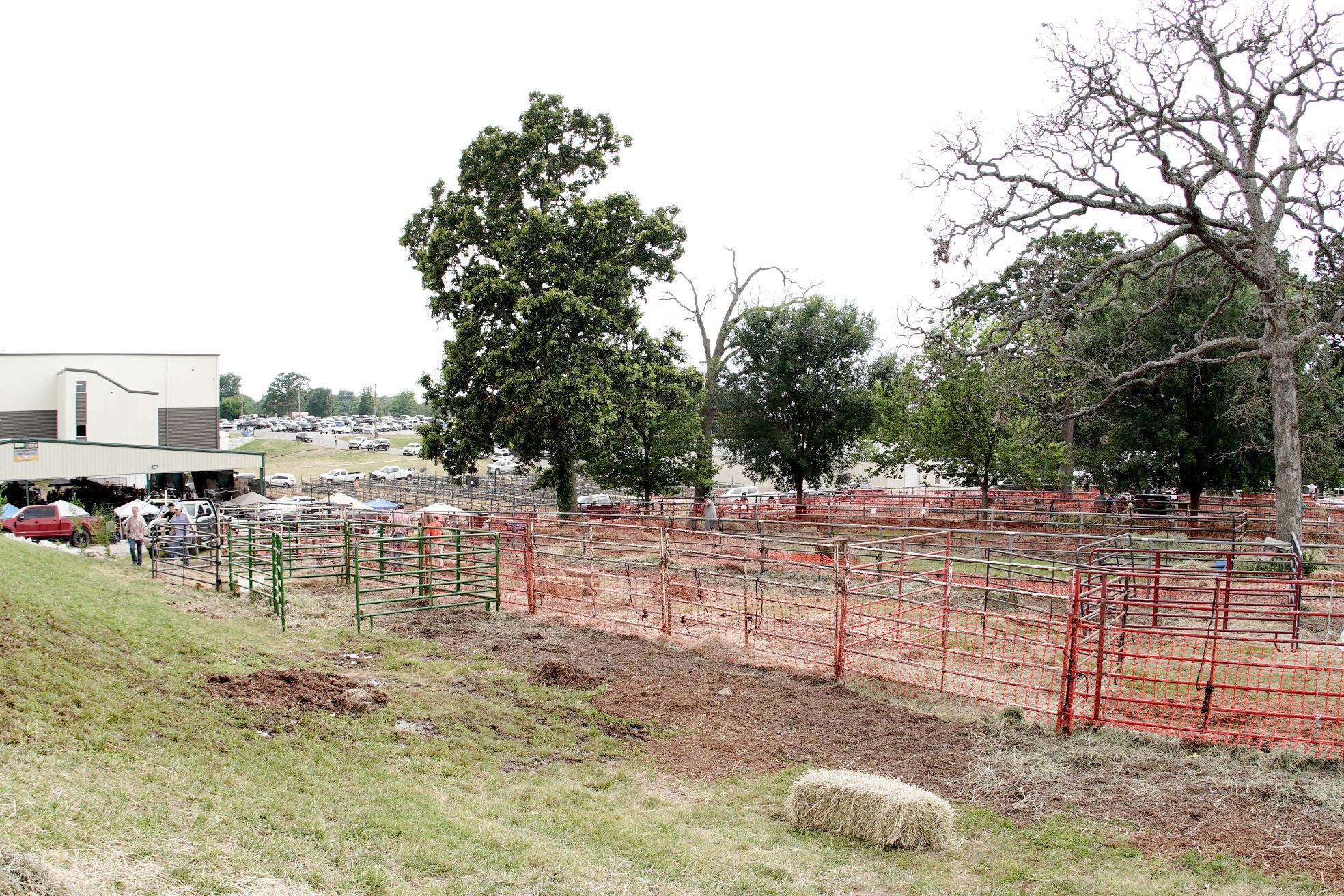 Arena & Barn Facilities