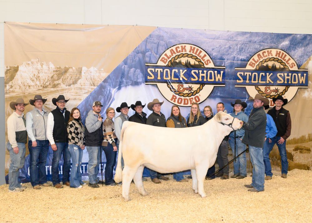 Livestock Shows & Sales