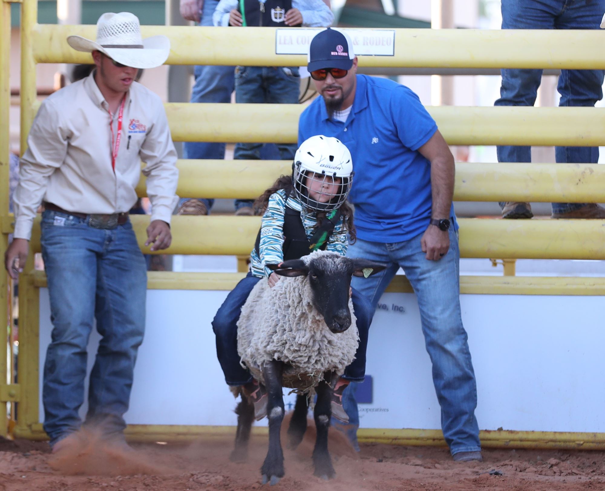 Mutton Bustin'