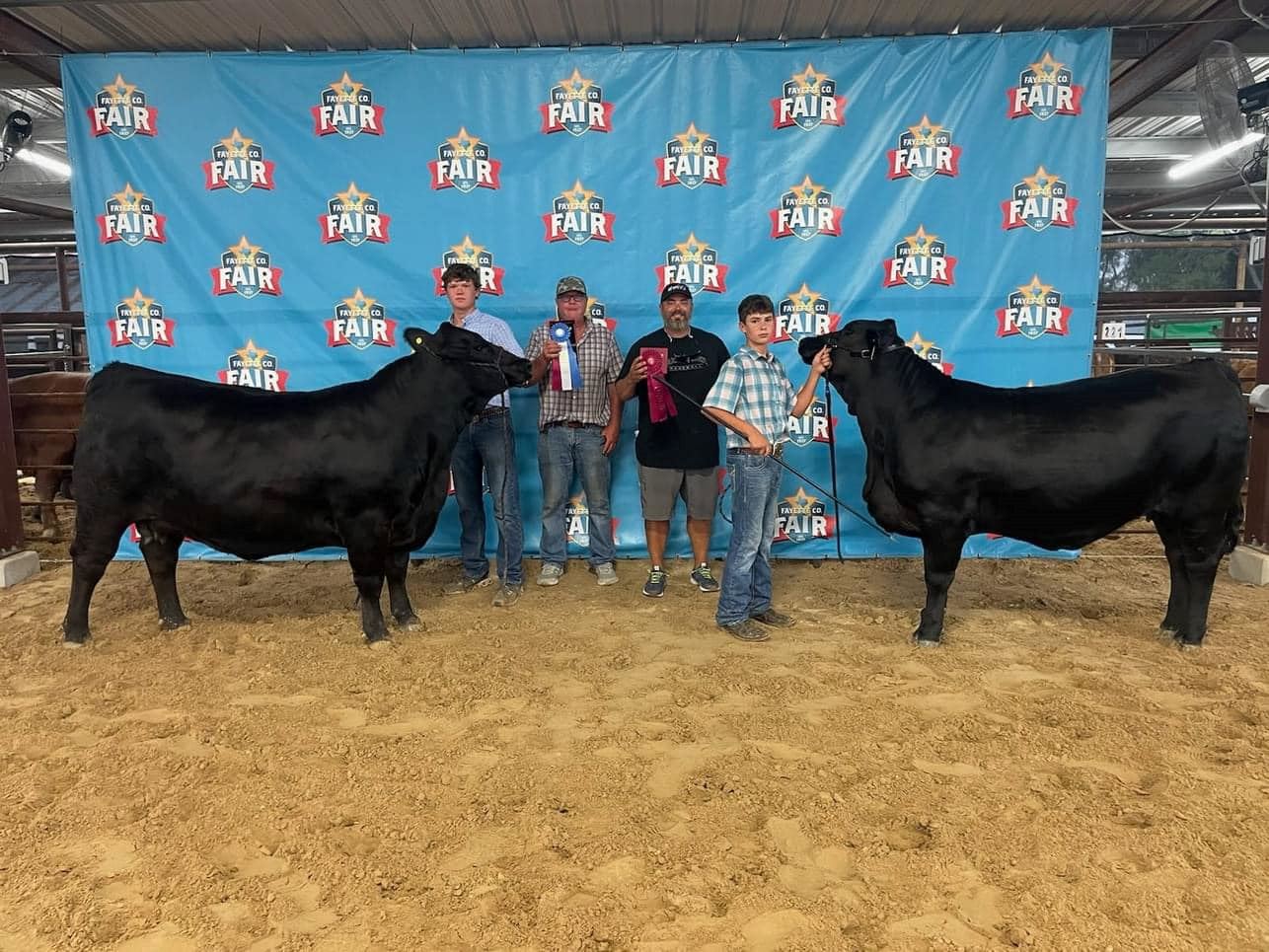 Commercial Heifer Show