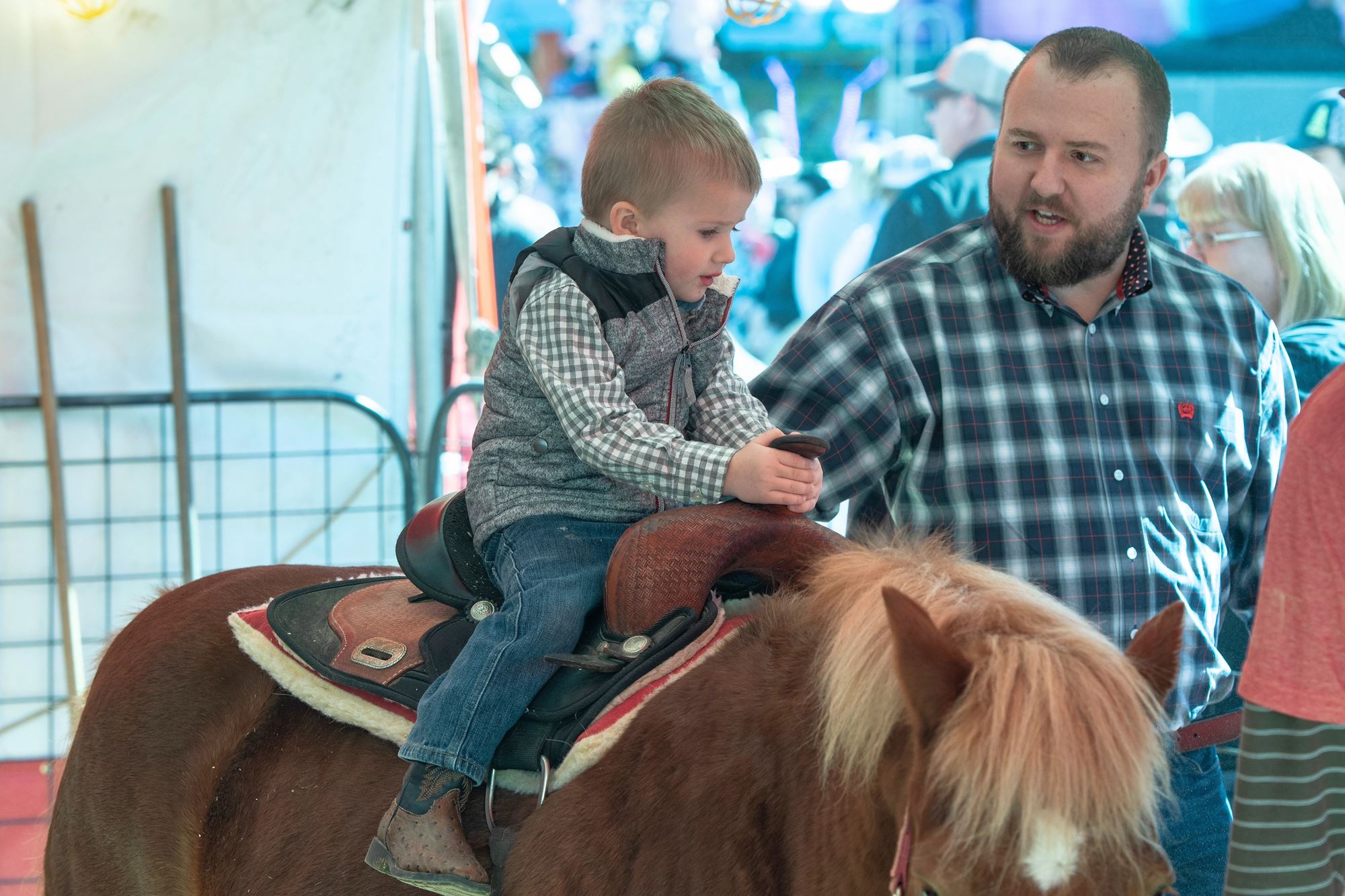 Petting Zoo & Pony Ride