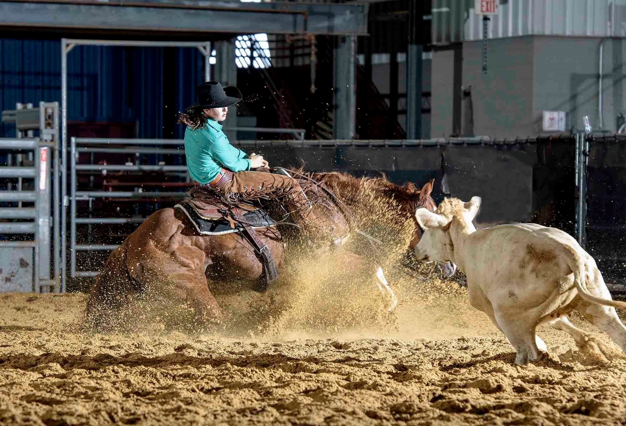 Michelle Lynn Holsey Foundation NCHA Cutting & Benefit